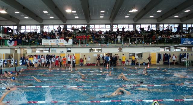 Trofeo Master di Massarosa, record nei 50 farfalla di Rudy Goldin ...