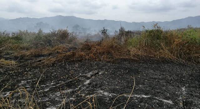Più controlli sui terreni incolti ed abbandonati. Li chiede Coldiretti ...