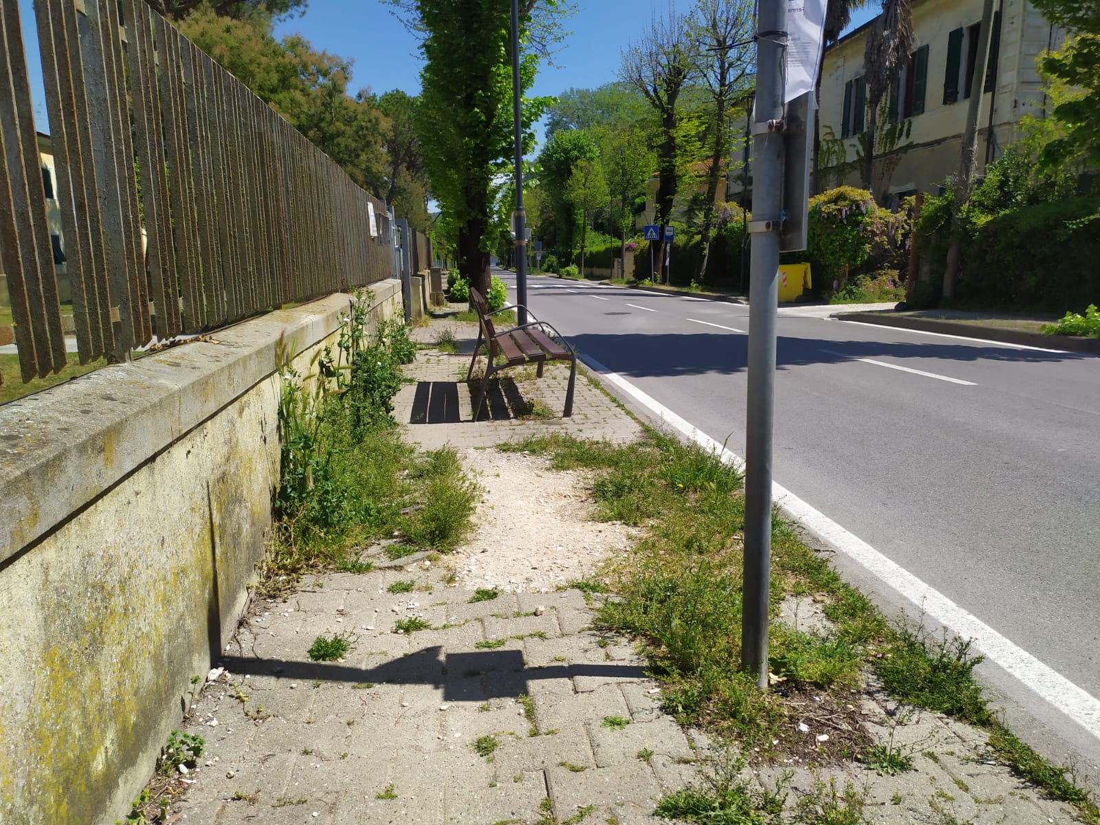 Cristian Marcucci (FDI): "Ci risiamo, Viareggio e Torre del Lago invase ...