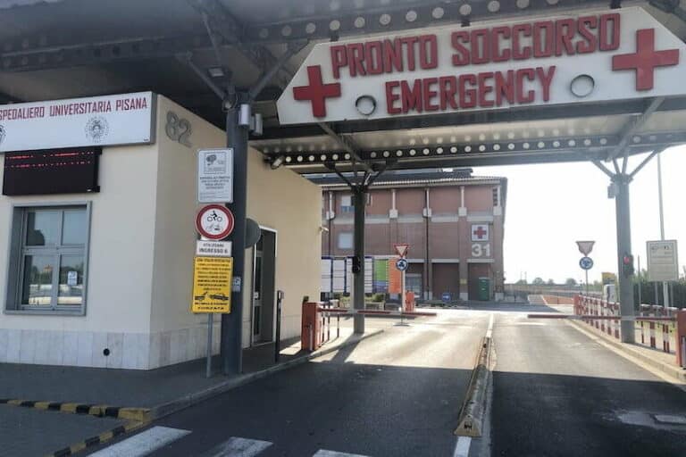 Il furgone si schianta nel bosco a Massarosa: due feriti soccorsi tra ...